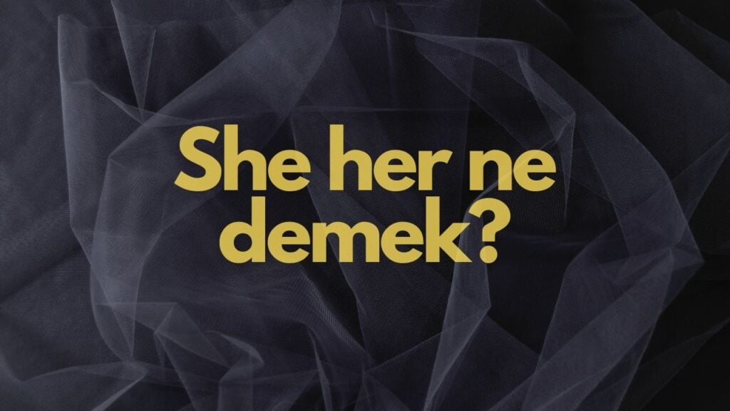 She her ne demek? Hangi Anlamlarda Kullanılır? - Dilekceornek.com